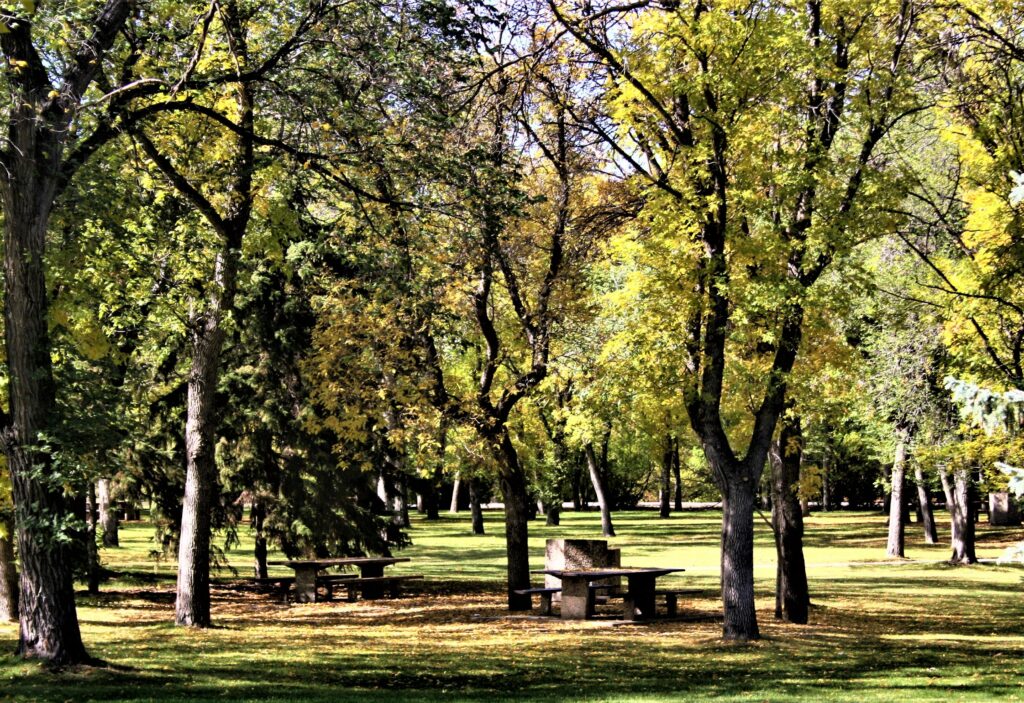 Life in Regina, Saskatchewan - Luther College