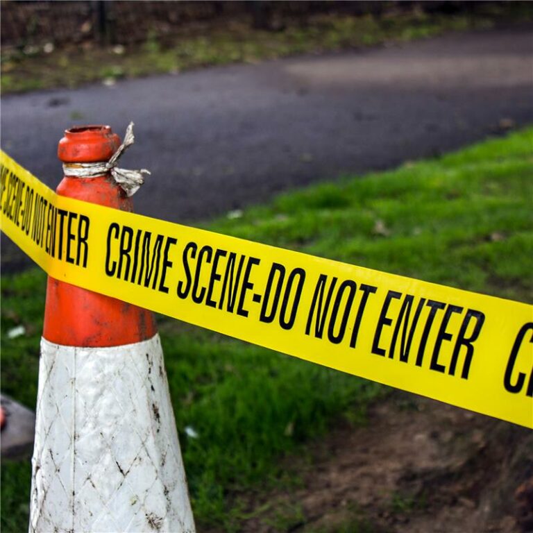 Crime & Justice Bundle - Luther College